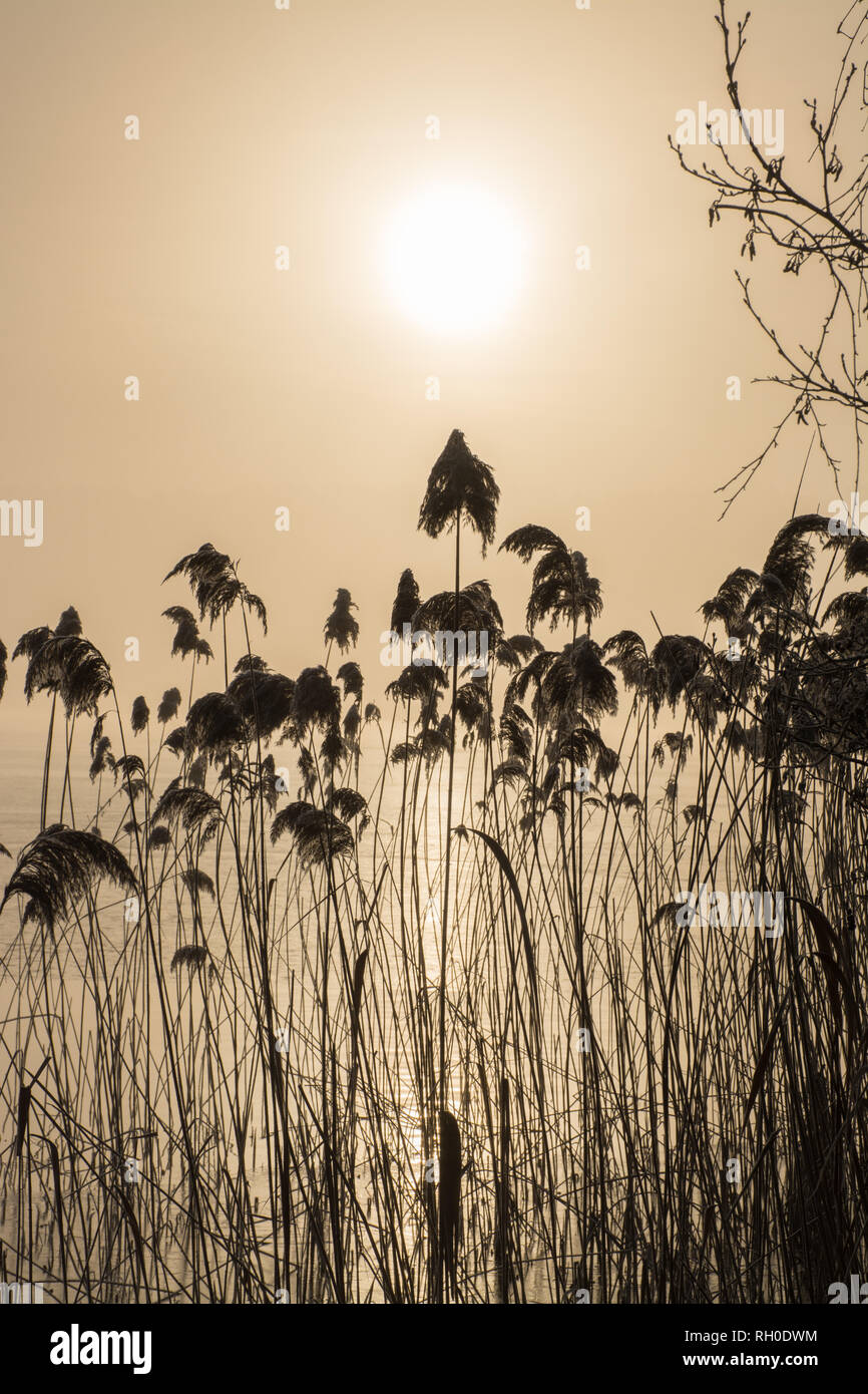 Beautiful scenes uk january hi-res stock photography and images - Alamy