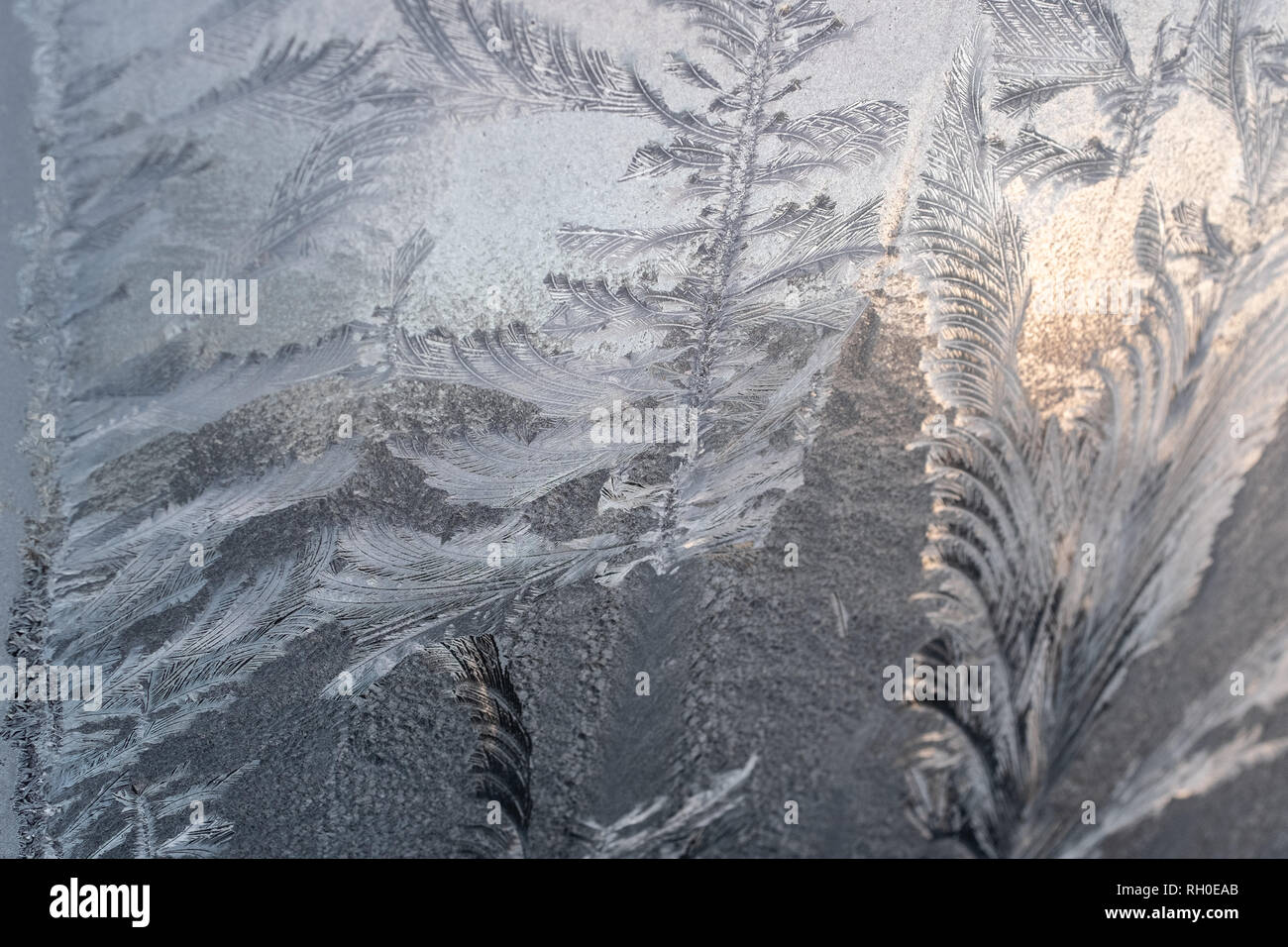 Fingers Of Frost High Resolution Stock Photography and Images - Alamy