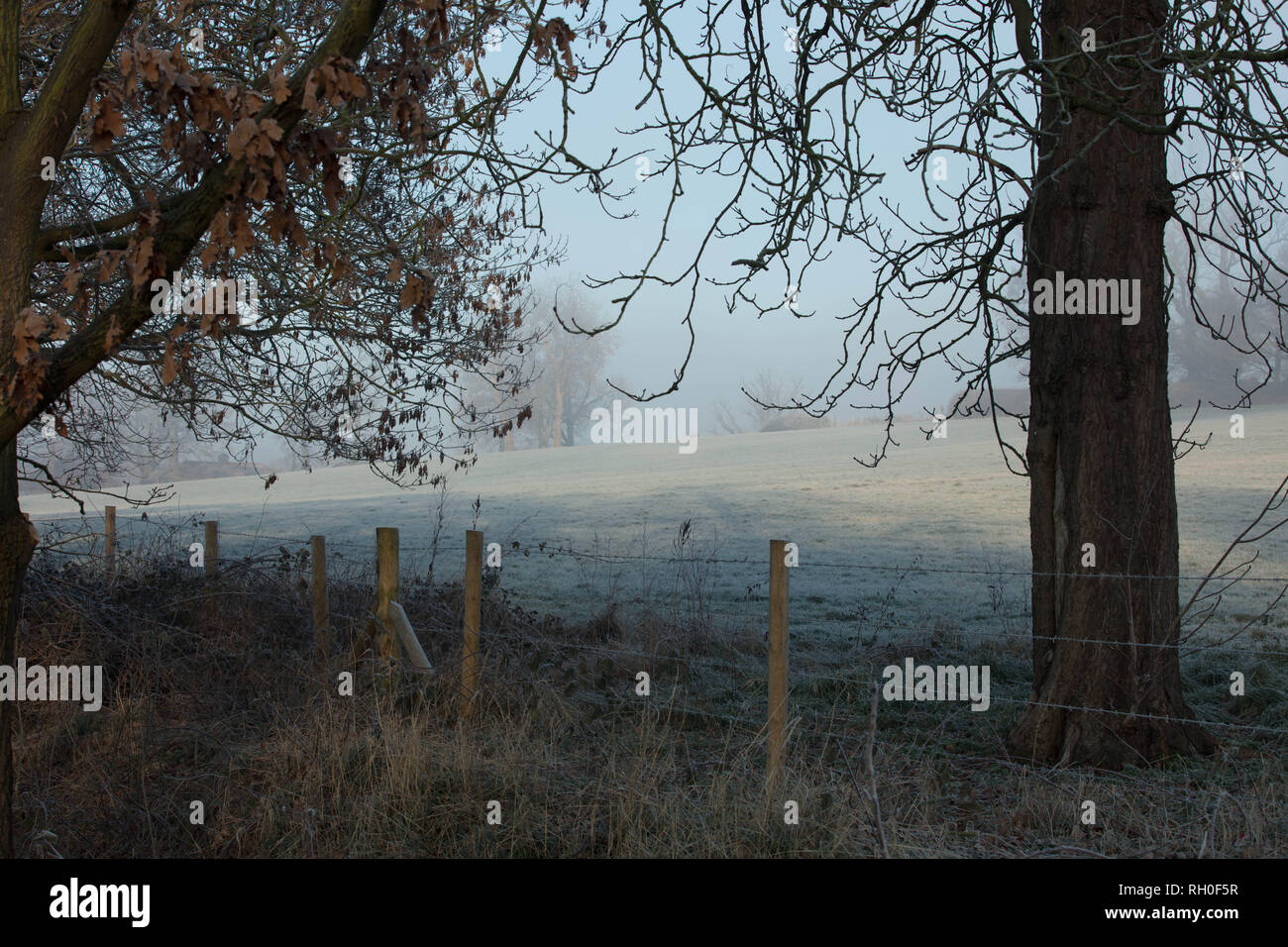 Seasons coldest night hi-res stock photography and images - Alamy