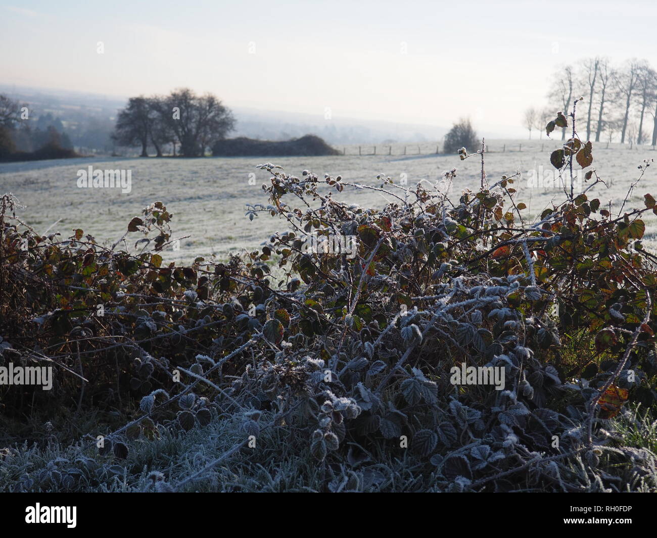 Cold and frosty morning in Oxfordshire Stock Photo - Alamy