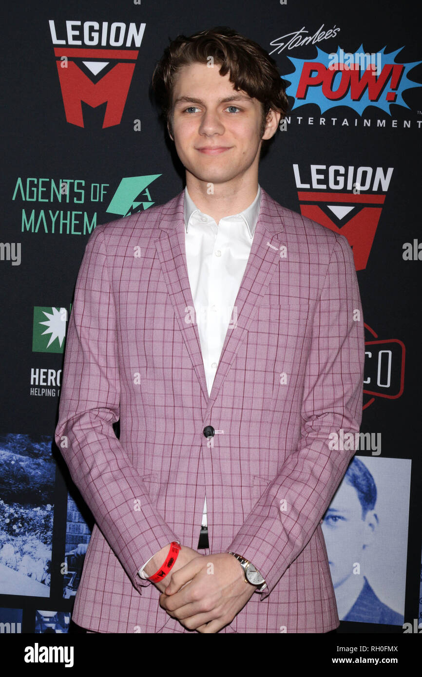 Hollywood, Ca. 30th Jan, 2019. Ty Simpkins at Excelsior! A Celebration ...