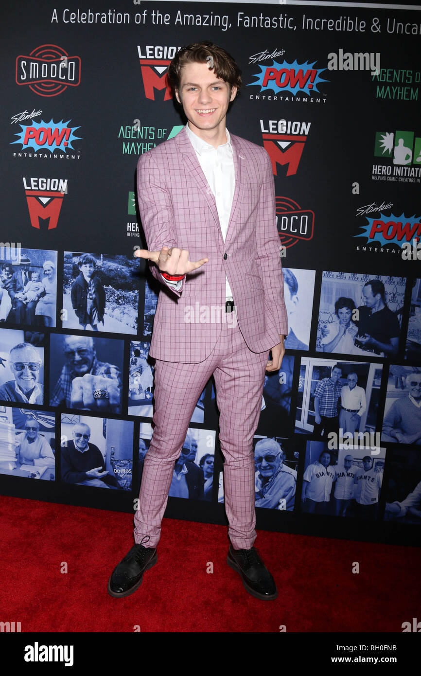 Hollywood, Ca. 30th Jan, 2019. Ty Simpkins at Excelsior! A Celebration ...