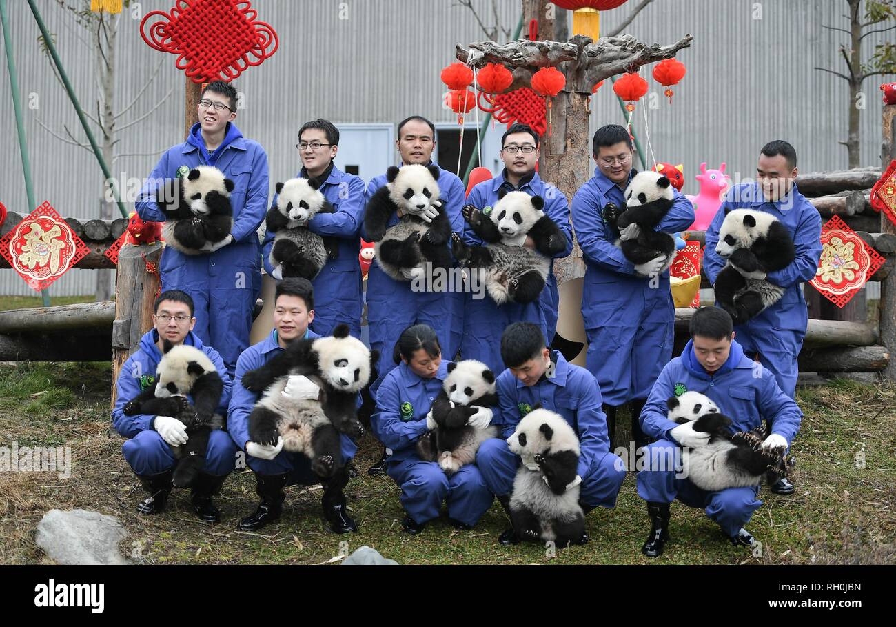 Wolong, China's Sichuan Province. 31st Jan, 2019. Giant panda keepers pose for a photo with ...