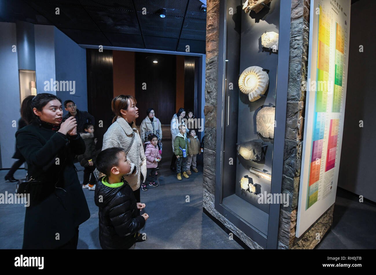 Zhejiang museum of natural history hi-res stock photography and images ...