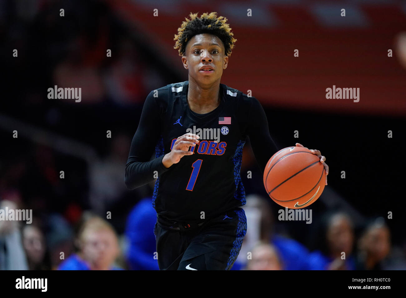 Lady gators hi-res stock photography and images - Alamy