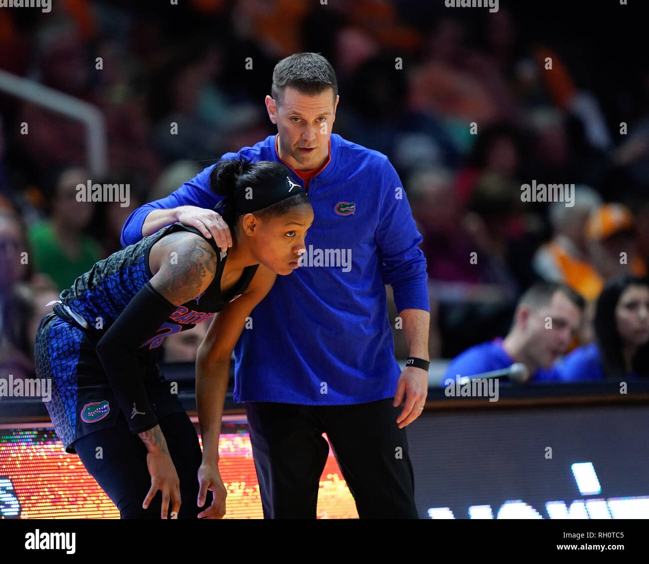 Delicia hi-res stock photography and images - Alamy