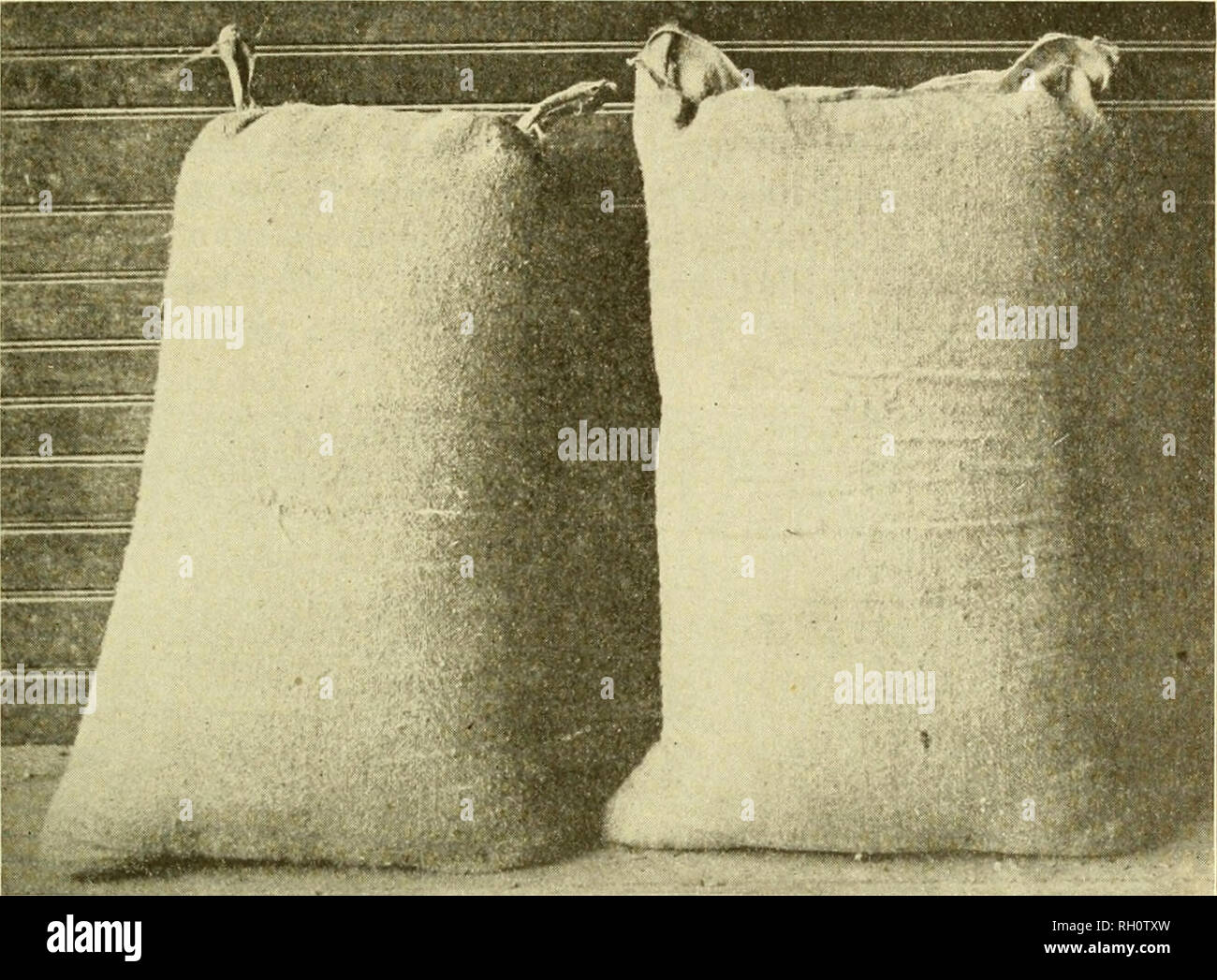 Ration bags hi-res stock photography and images - Alamy