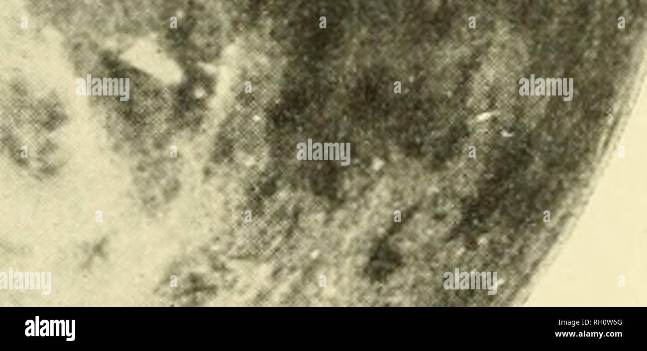 Apple bitter pit hi-res stock photography and images - Alamy