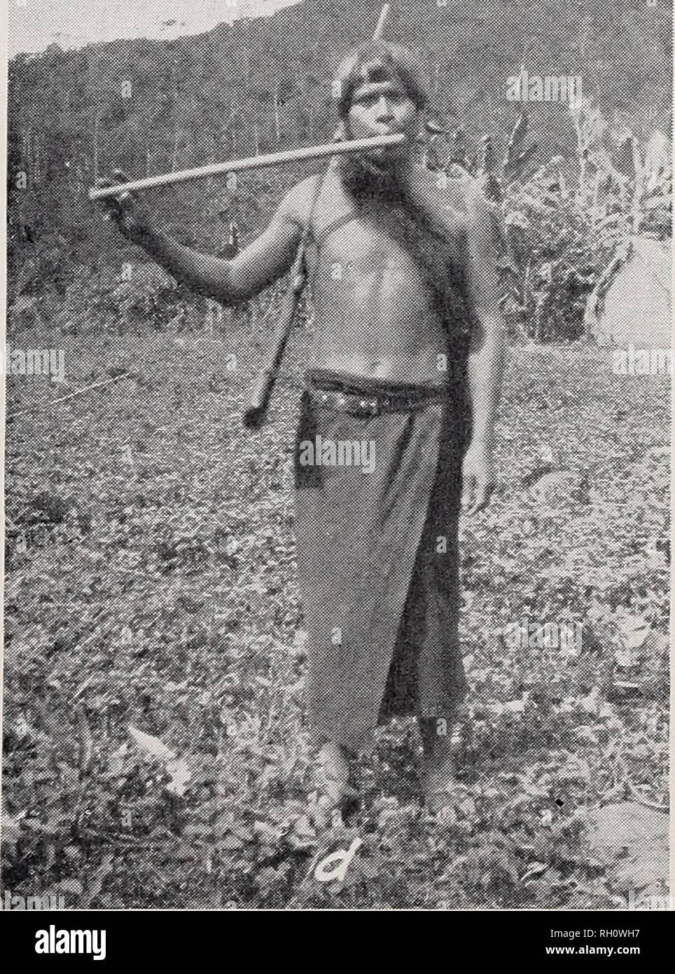 Jivaro High Resolution Stock Photography and Images - Alamy