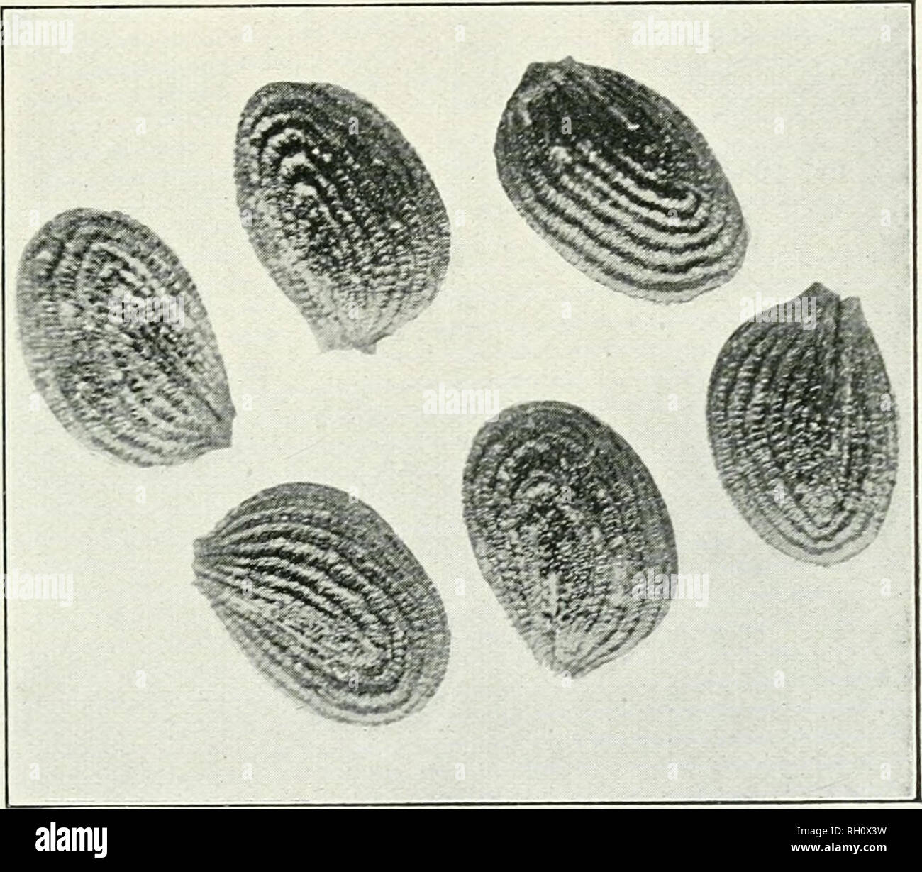 Worst weed hi-res stock photography and images - Alamy