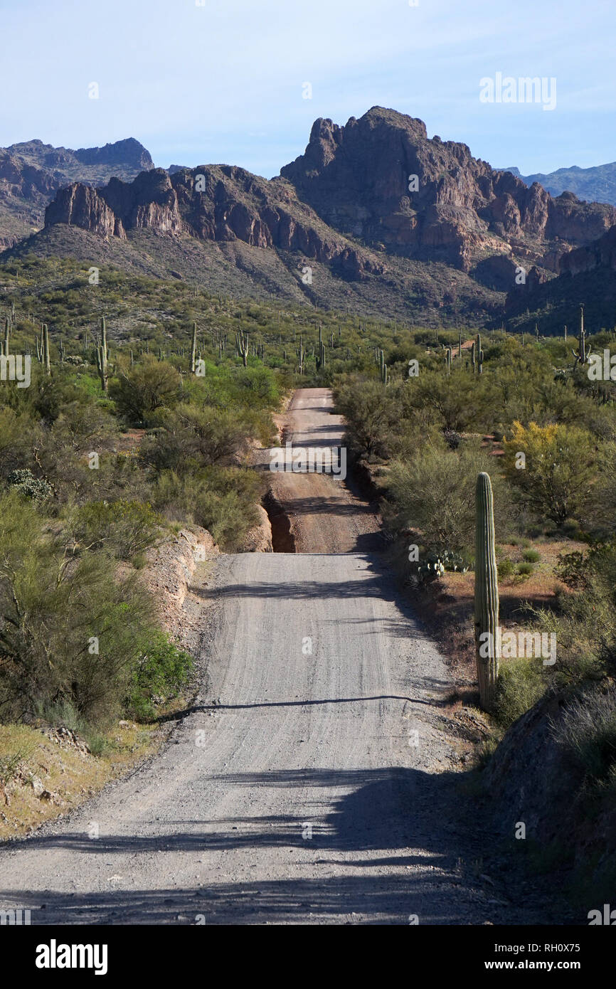 A dirt road runs through the Arizona desert Stock Photo - Alamy