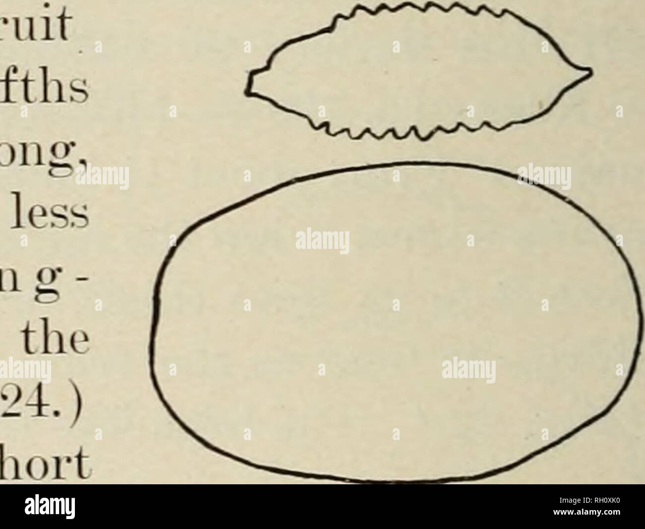 Ural ridges hi-res stock photography and images - Alamy