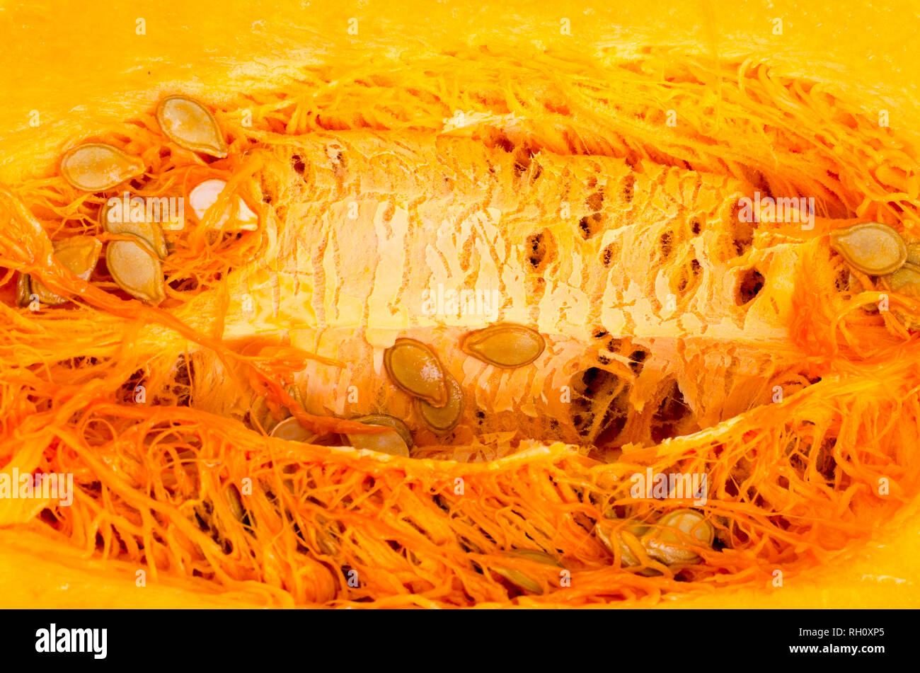 Background from the pulp of ripe pumpkin with seeds. Studio Photo Stock Photo - Alamy