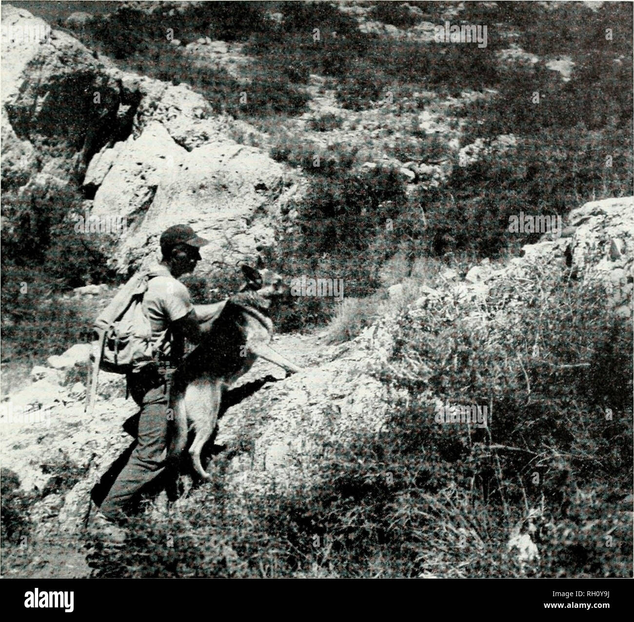 D day museum exhibits hi-res stock photography and images - Alamy