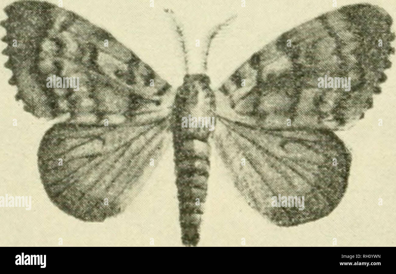 Supporting threads hi-res stock photography and images - Alamy