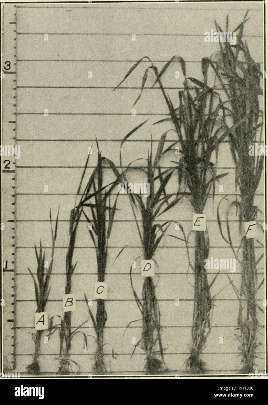 Subsoil improvement hi-res stock photography and images - Alamy