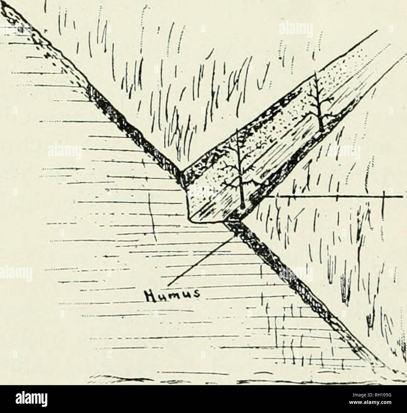 . Bulletin. Agriculture -- Ontario. Fig. 18—Light planting furrow with ...