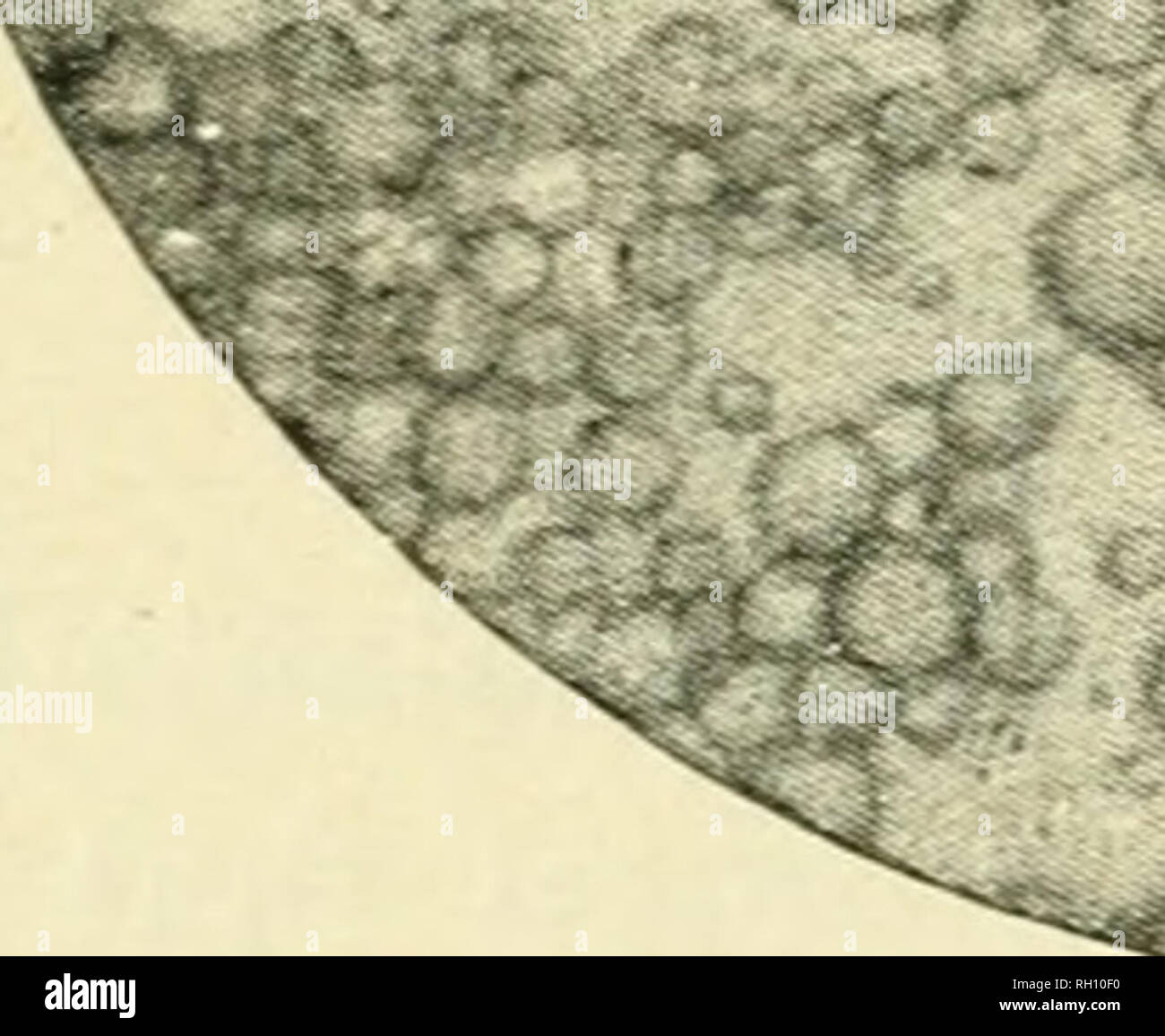 Sample dipper hi-res stock photography and images - Alamy