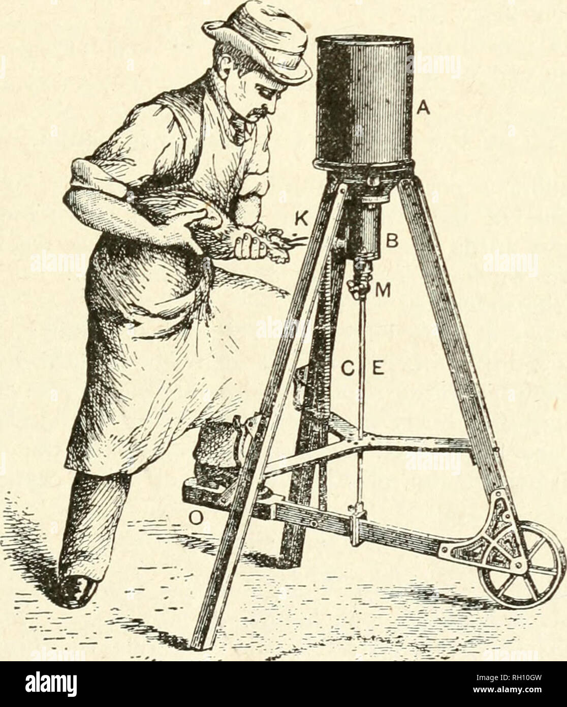 Crammer hi-res stock photography and images - Alamy