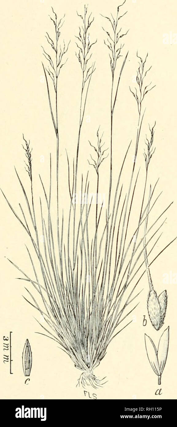 431 8 page hi-res stock photography and images - Alamy