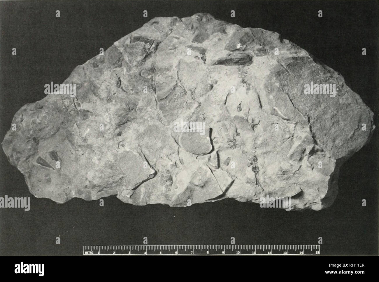 Sedimentary laminations hi-res stock photography and images - Alamy