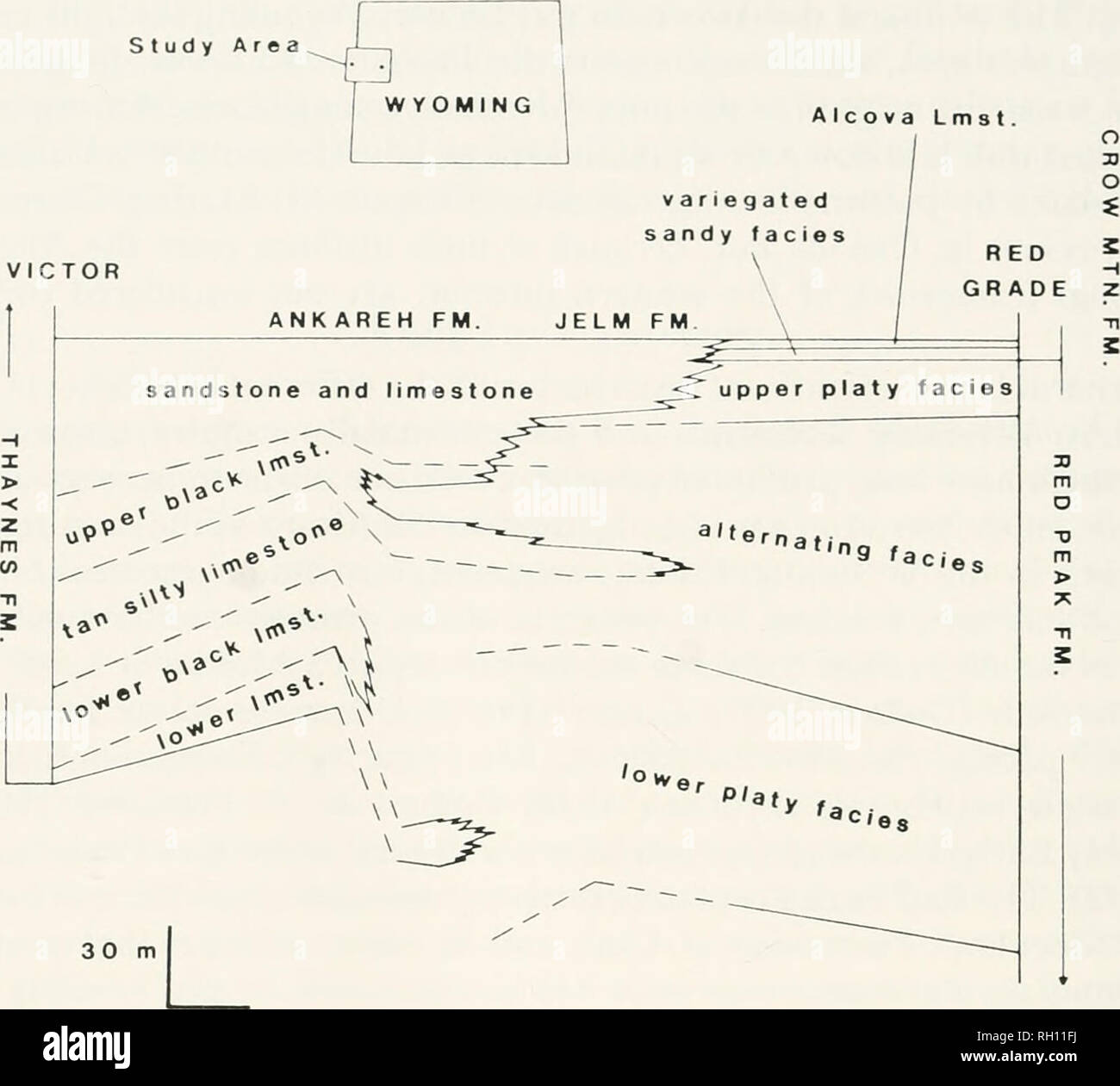 Idaho museum of natural history hi-res stock photography and images - Alamy