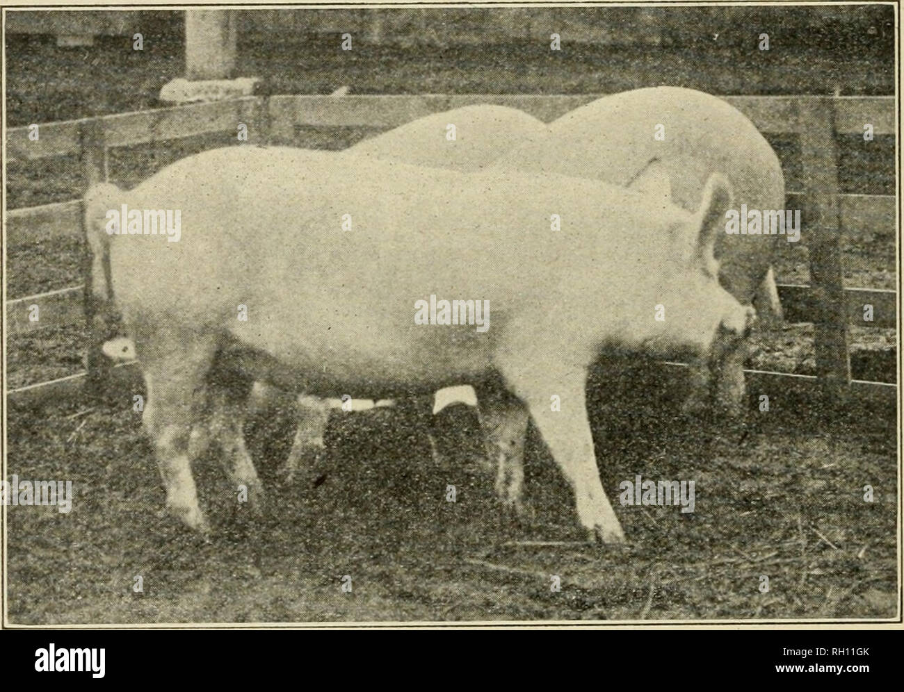 Denote different parts hi-res stock photography and images - Alamy