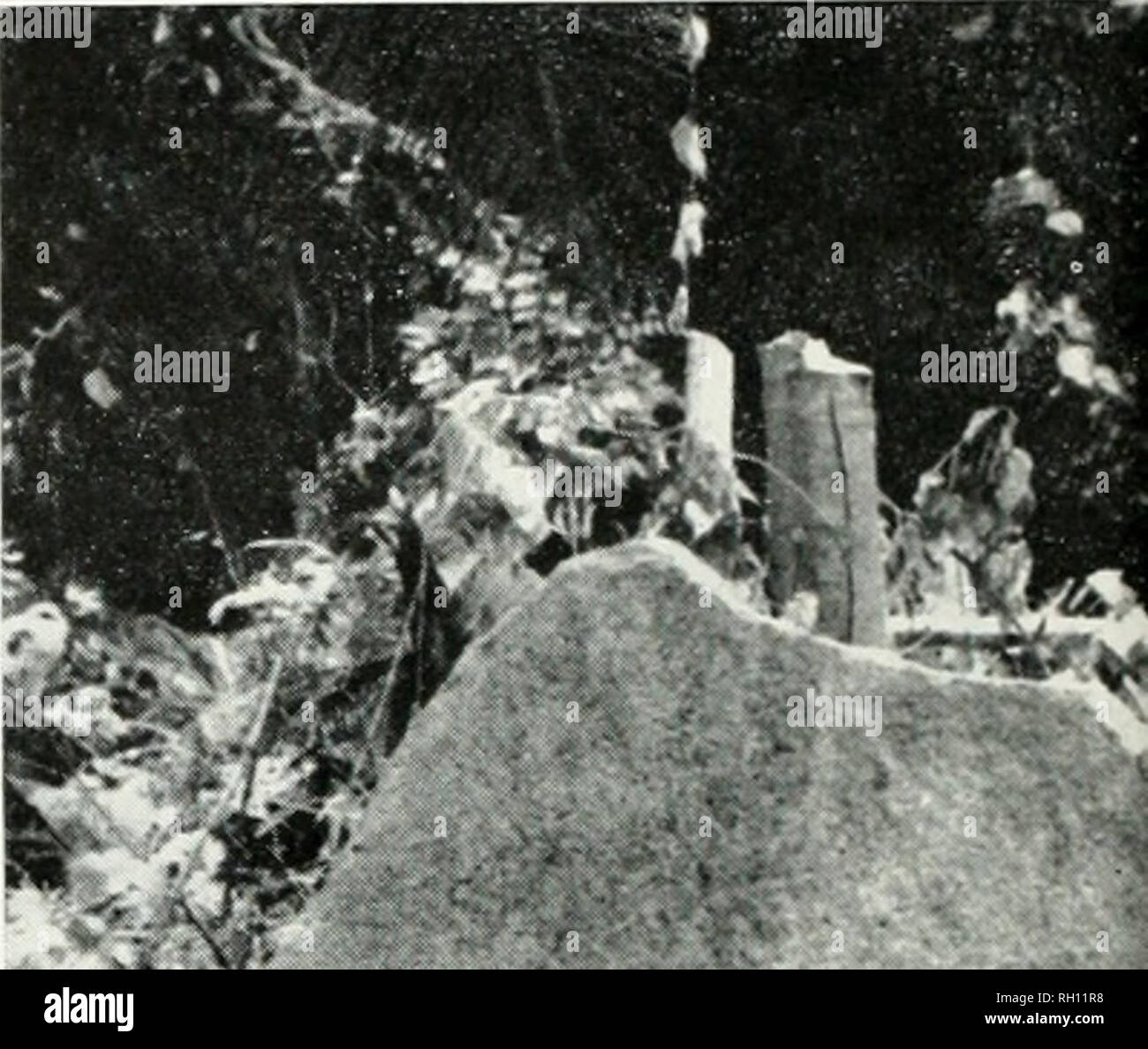 Buka people hi-res stock photography and images - Alamy