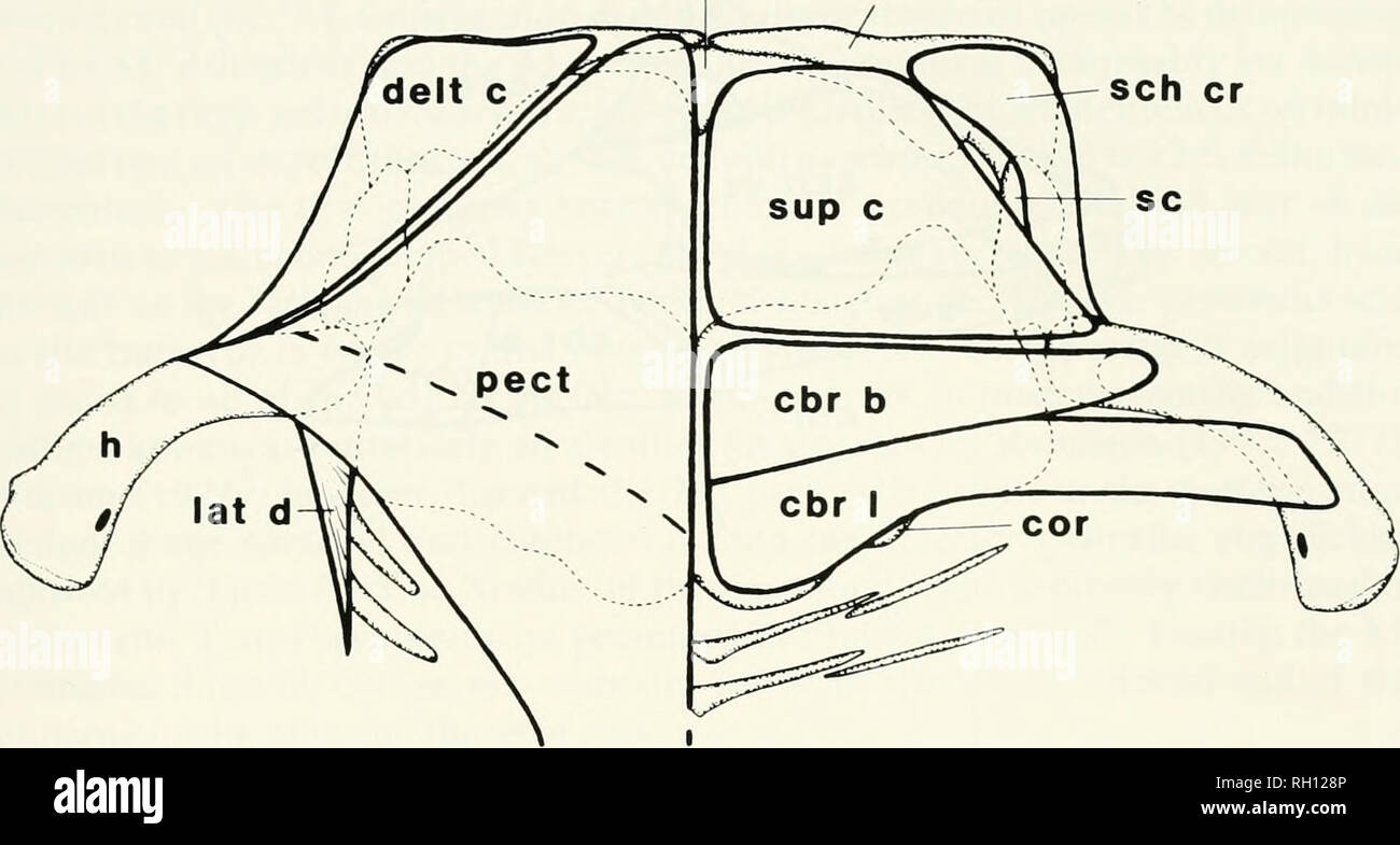 Historie sch hi-res stock photography and images - Alamy