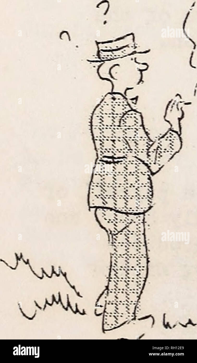 Sycamore sam hi-res stock photography and images - Alamy