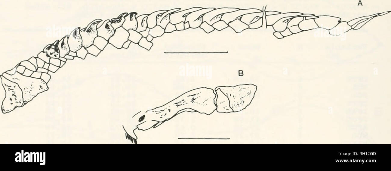 . Bulletin. Natural history; Natuurlijke historie. 76 PEABODY MUSEUM ...