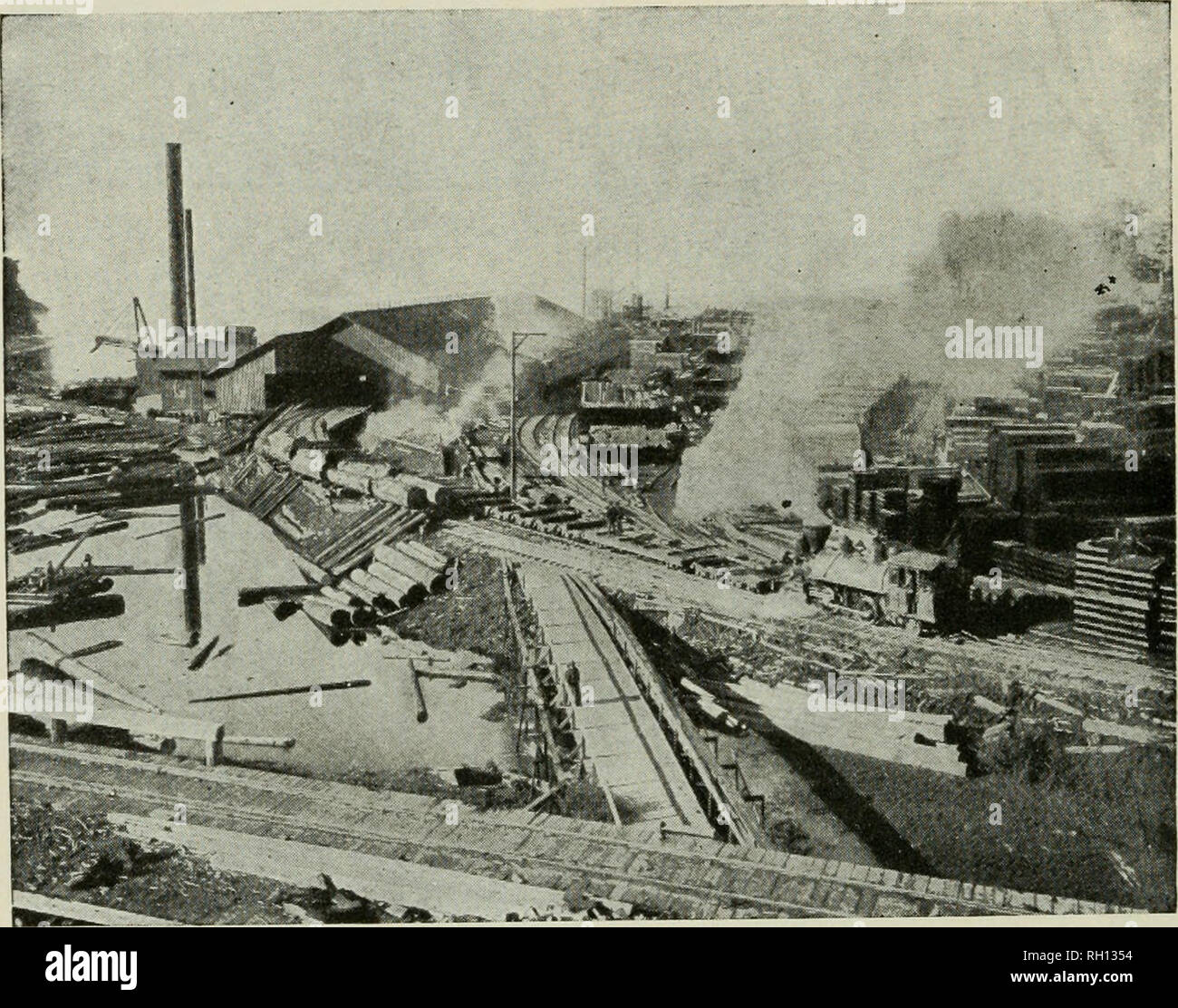 . Bulletin. Forests and forestry -- United States. 50 A PRIMER OF ...