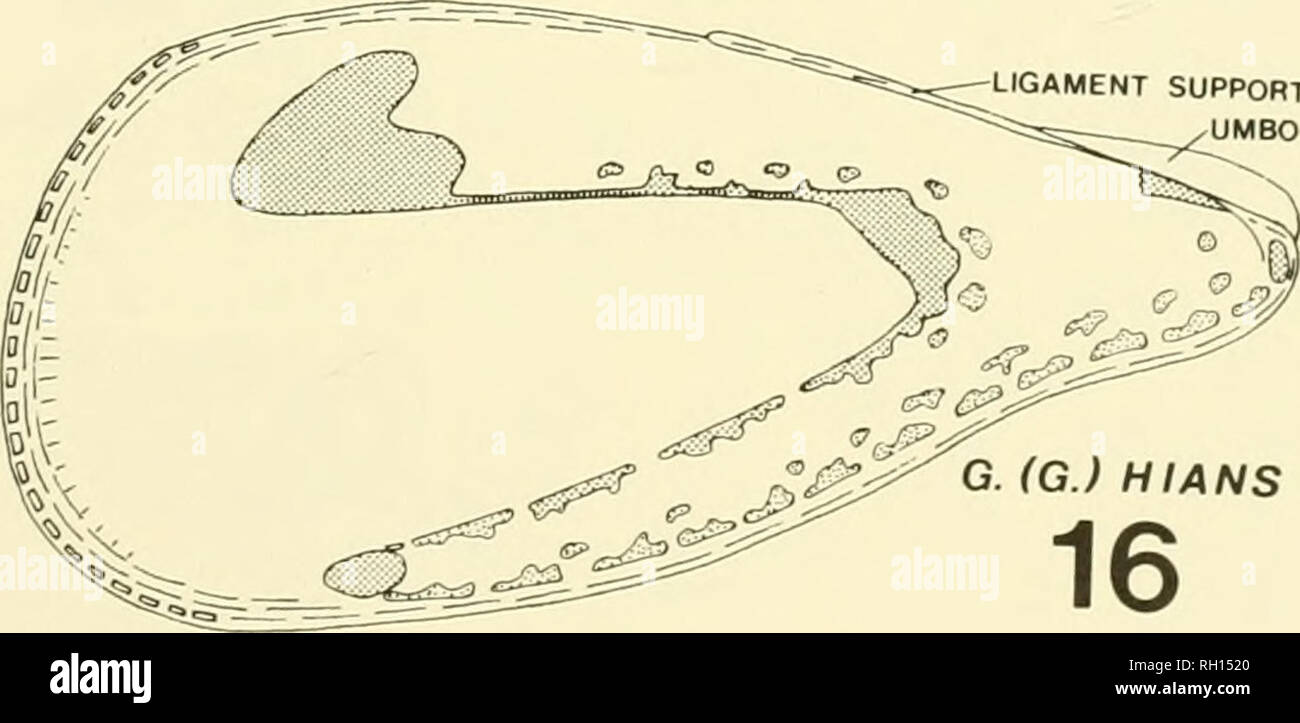 Triangular support structure hi-res stock photography and images - Alamy