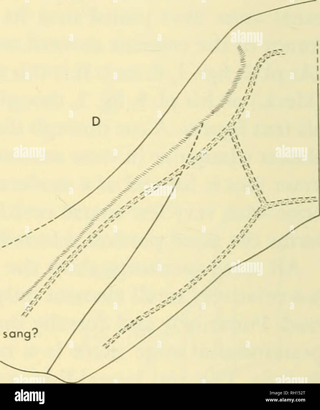 . Bulletin. Natural history; Natuurlijke historie. Fig. 24. Dermal ...