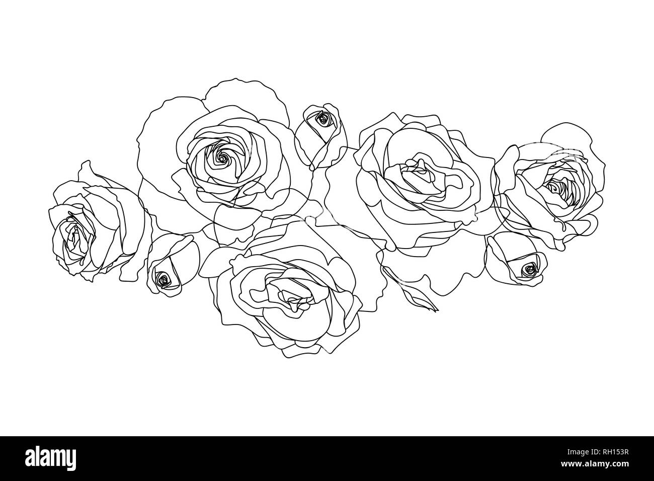 Photography Gothic Art Rose Thorns Botany Art Dark Art Modern ...