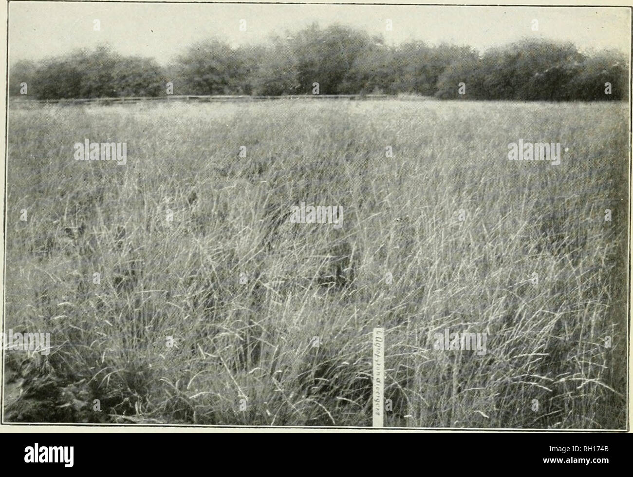 Walla station hi-res stock photography and images - Alamy