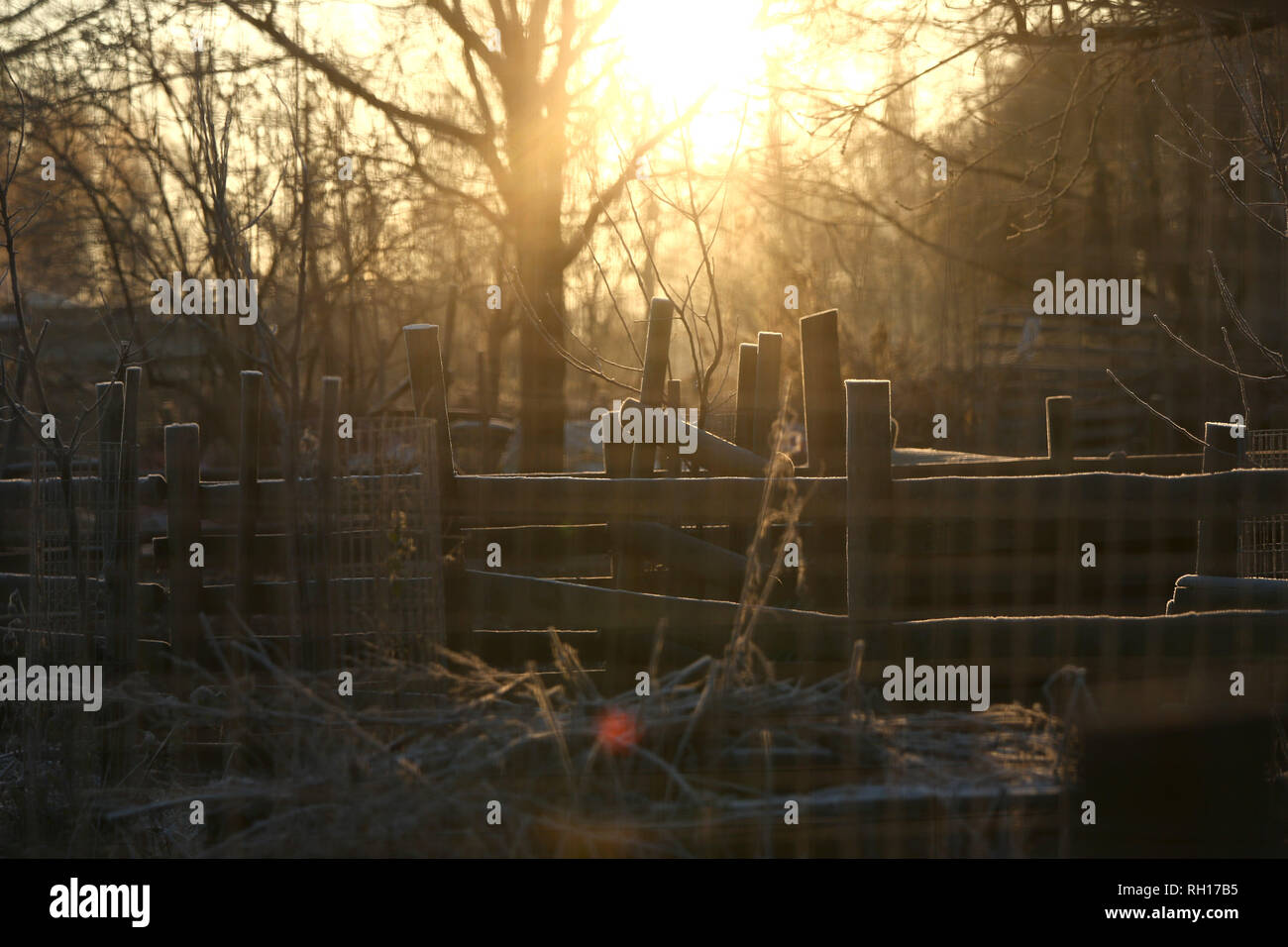 Mudchute farm on isle dogs hi-res stock photography and images - Alamy
