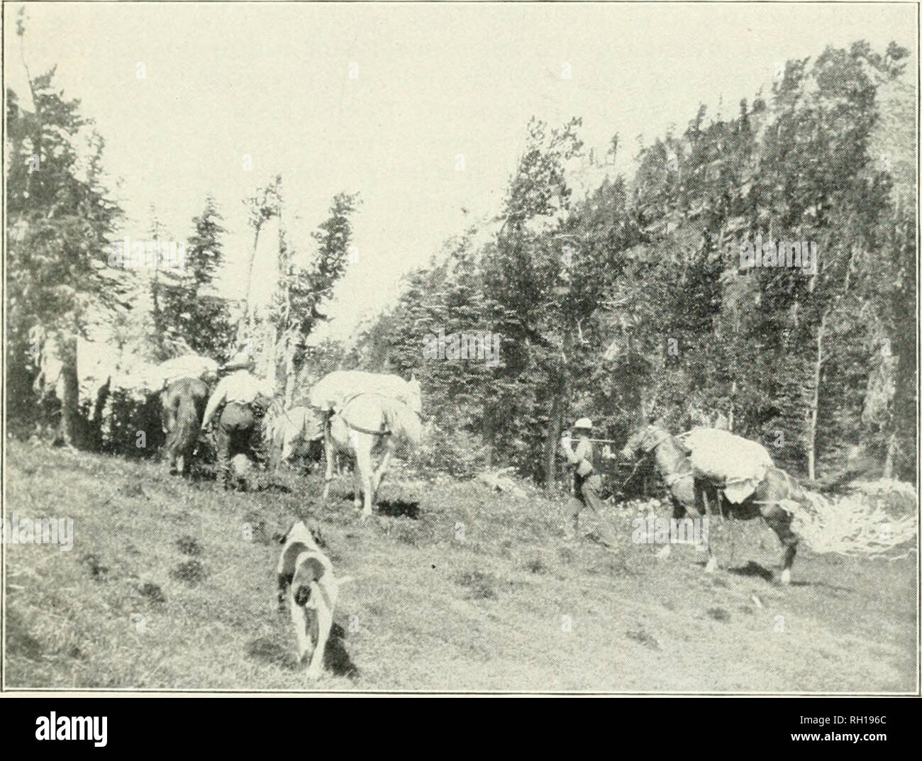 Thomas silloway hi-res stock photography and images - Alamy