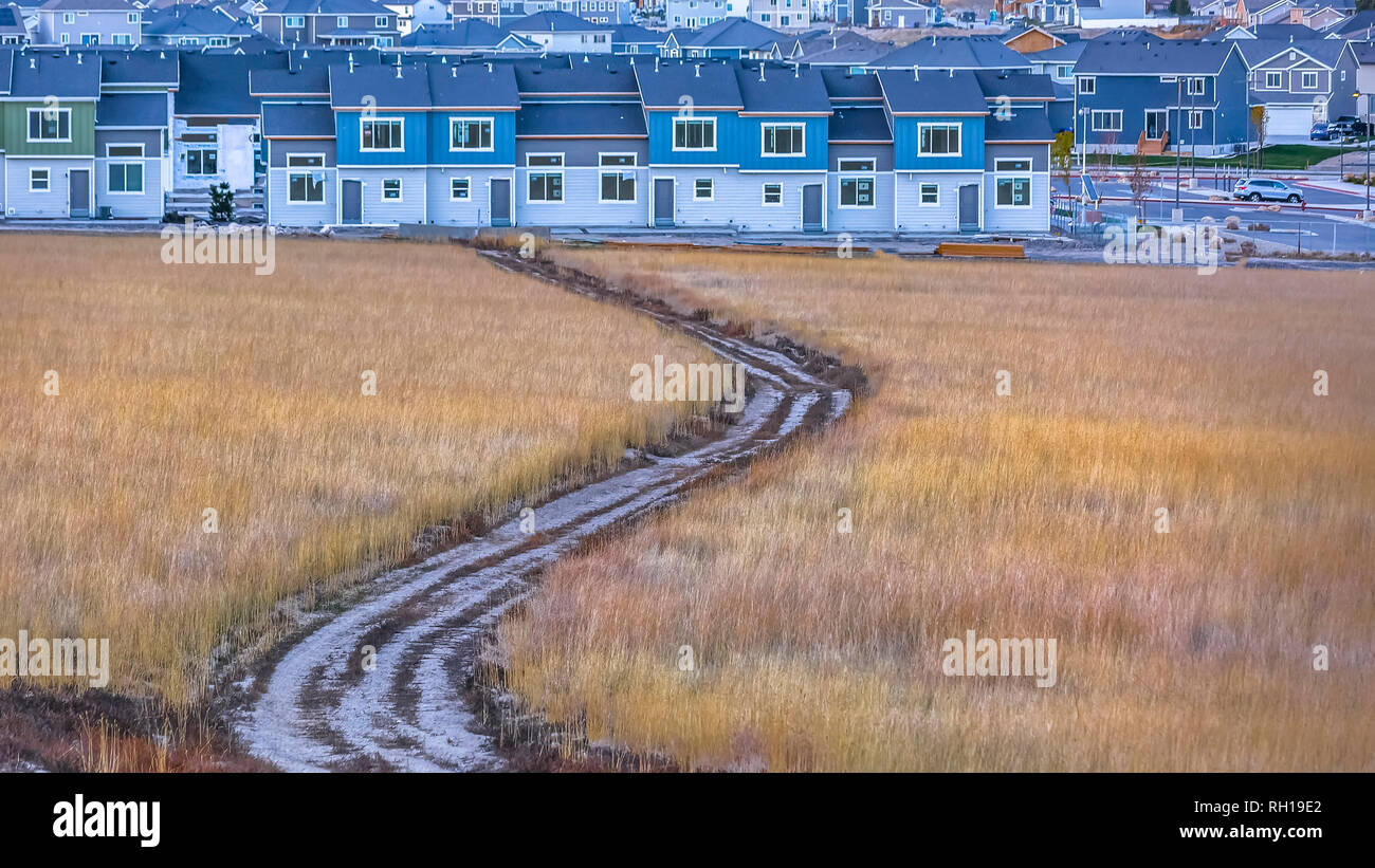 Grass field with unpaved road leading to homes Stock Photo - Alamy