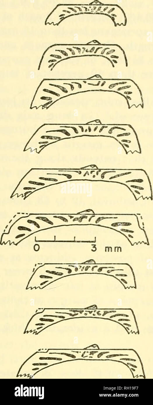 Fox hills formation hi-res stock photography and images - Alamy
