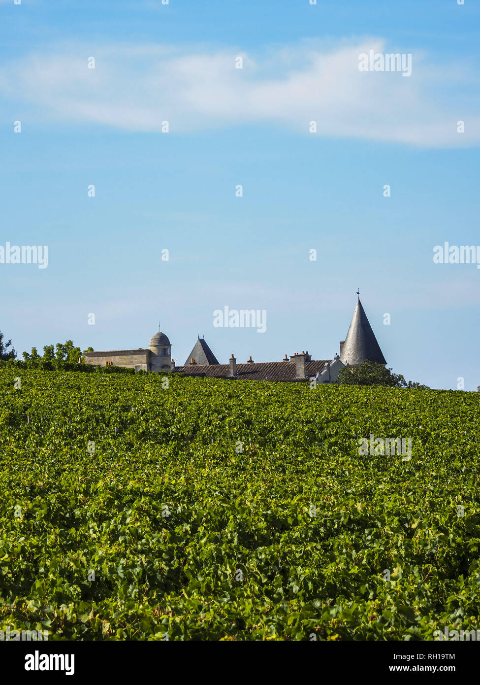 Chateau Lafite Rothschild Stock Photo - Alamy