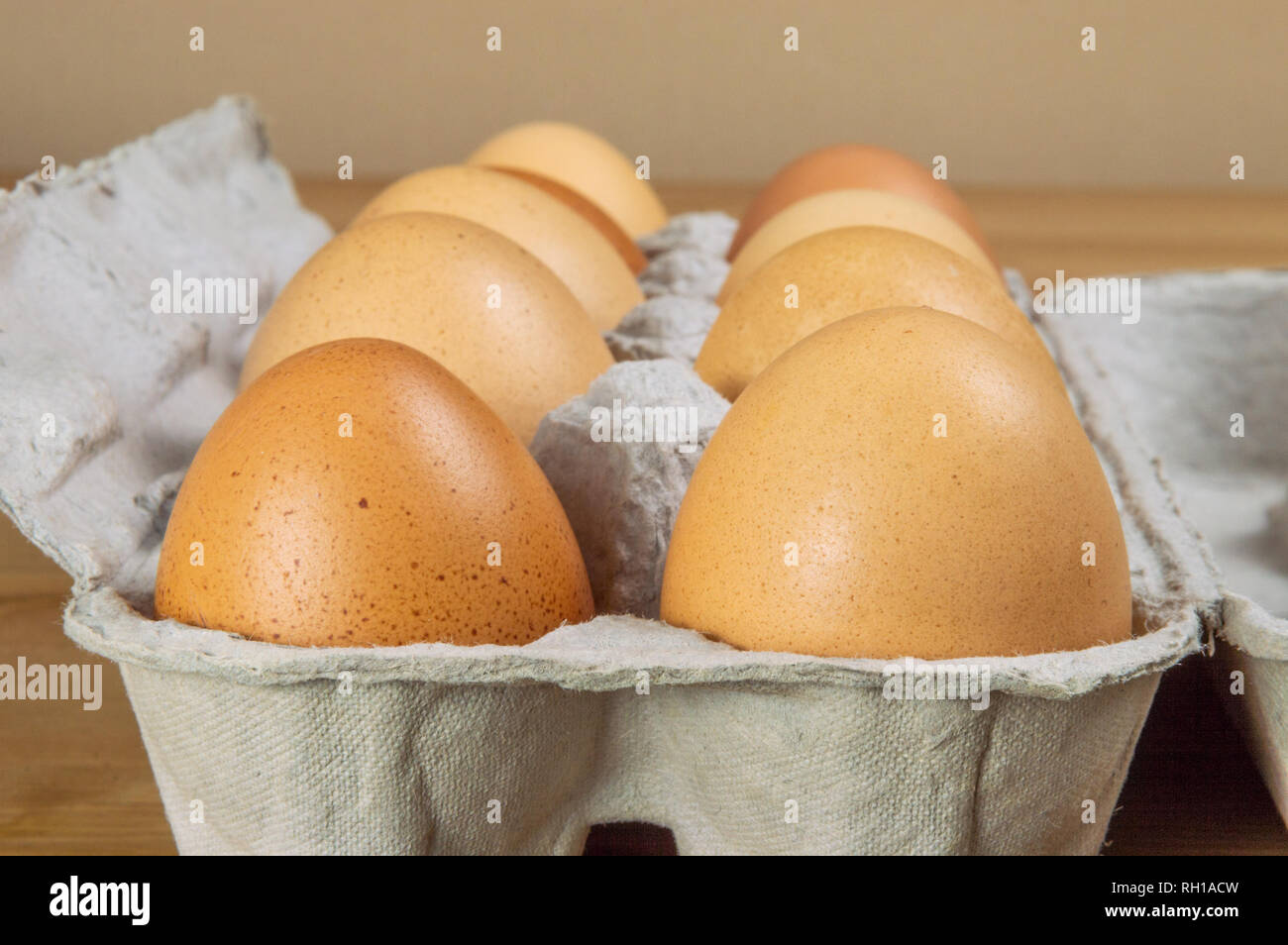 Side view of ten chicken eggs in a carton box on a table with copy ...