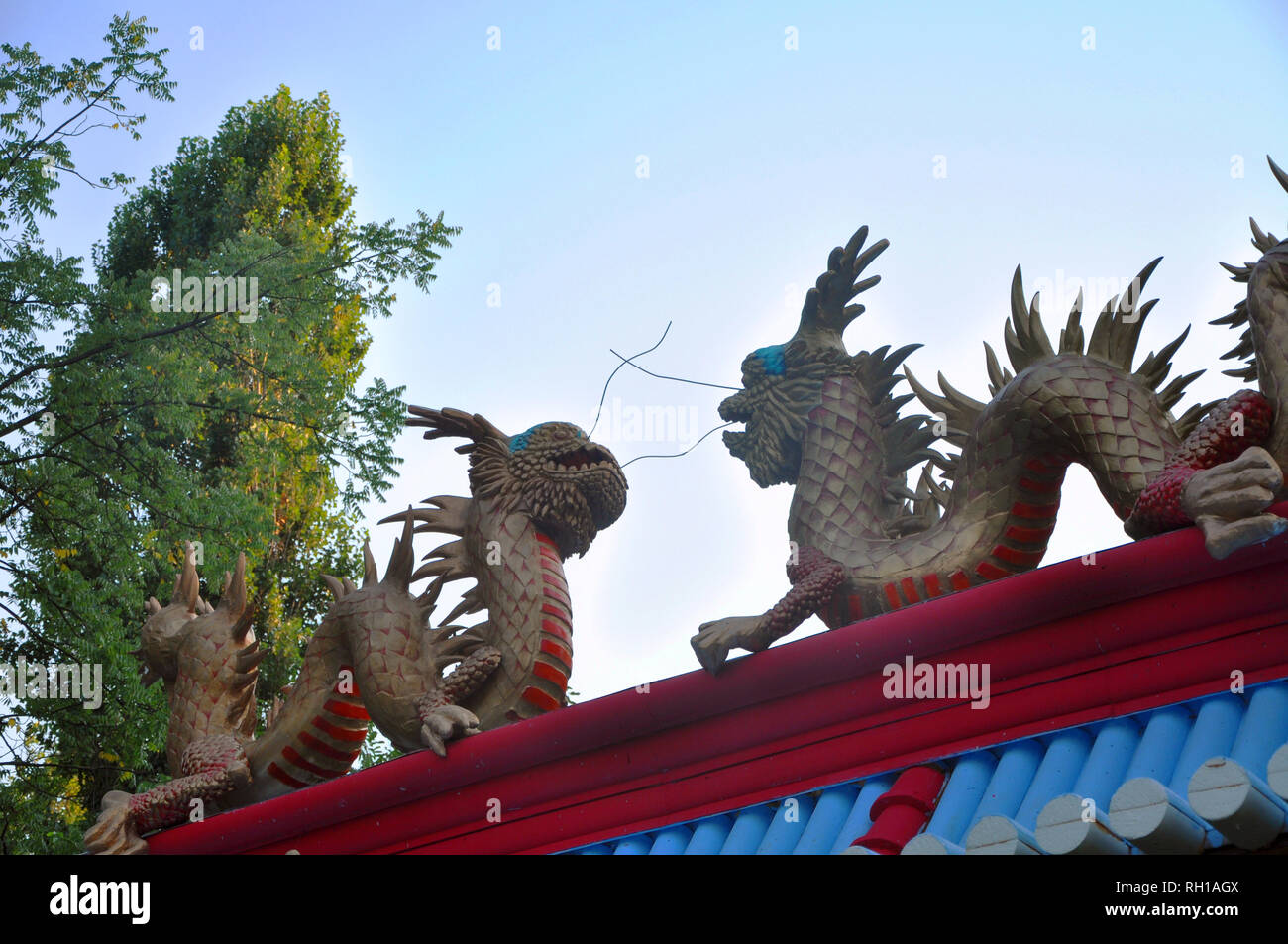 Chinese dragons, statues of ronin and fountains at sunset Russia Stock ...