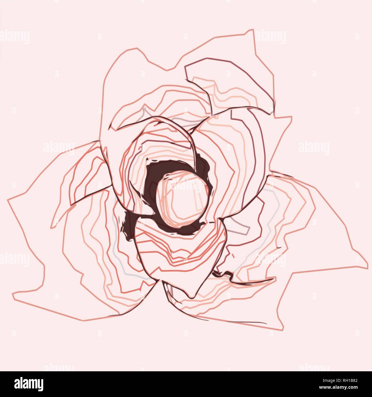 Orange blossom illustration hi-res stock photography and images - Alamy