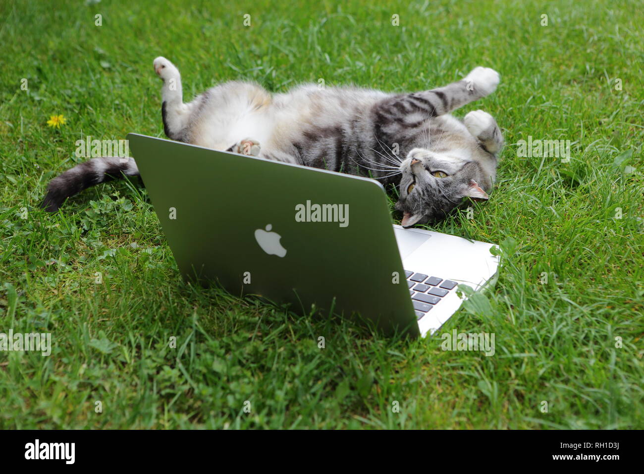 Steve jobs apple product design hi-res stock photography and images - Alamy