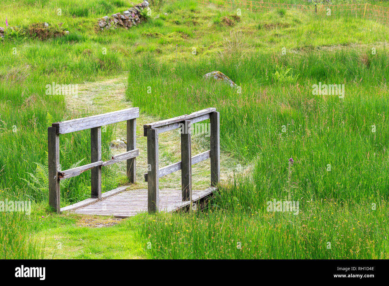 Small wooden bridge with handrails over a grassy ditch Stock Photo - Alamy