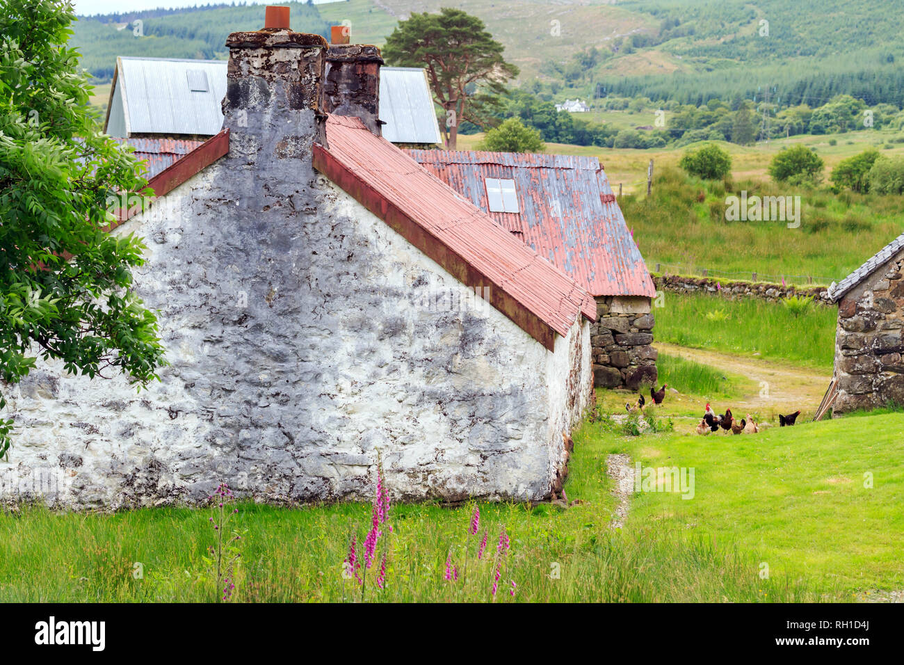Scottish farm building hi-res stock photography and images - Alamy
