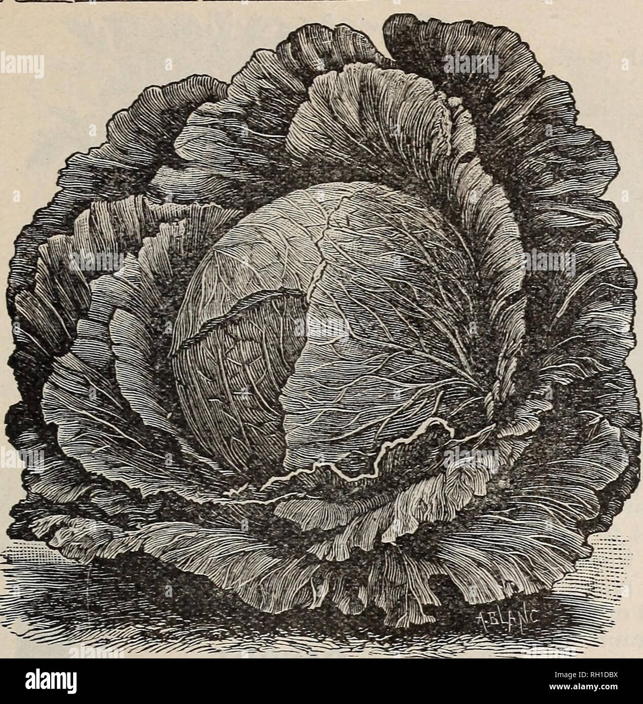 . Buist's garden guide and almanac. Nurseries (Horticulture ...