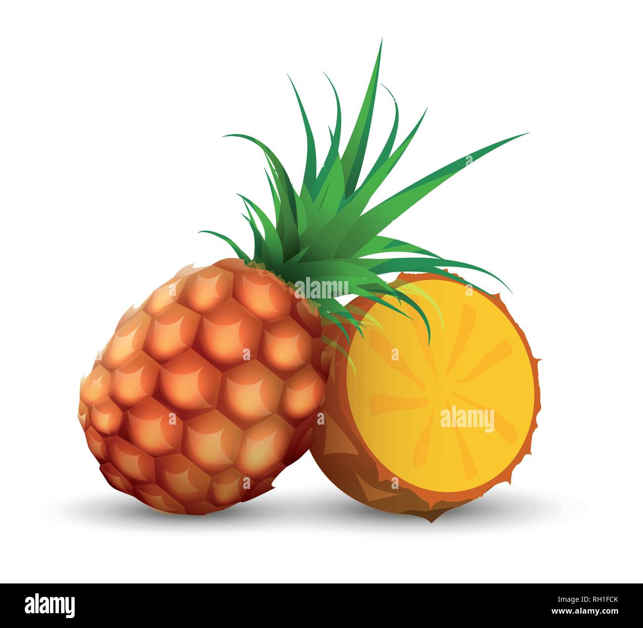 Whole pineapple with half sliced piece of ananas - Vector illustration ...