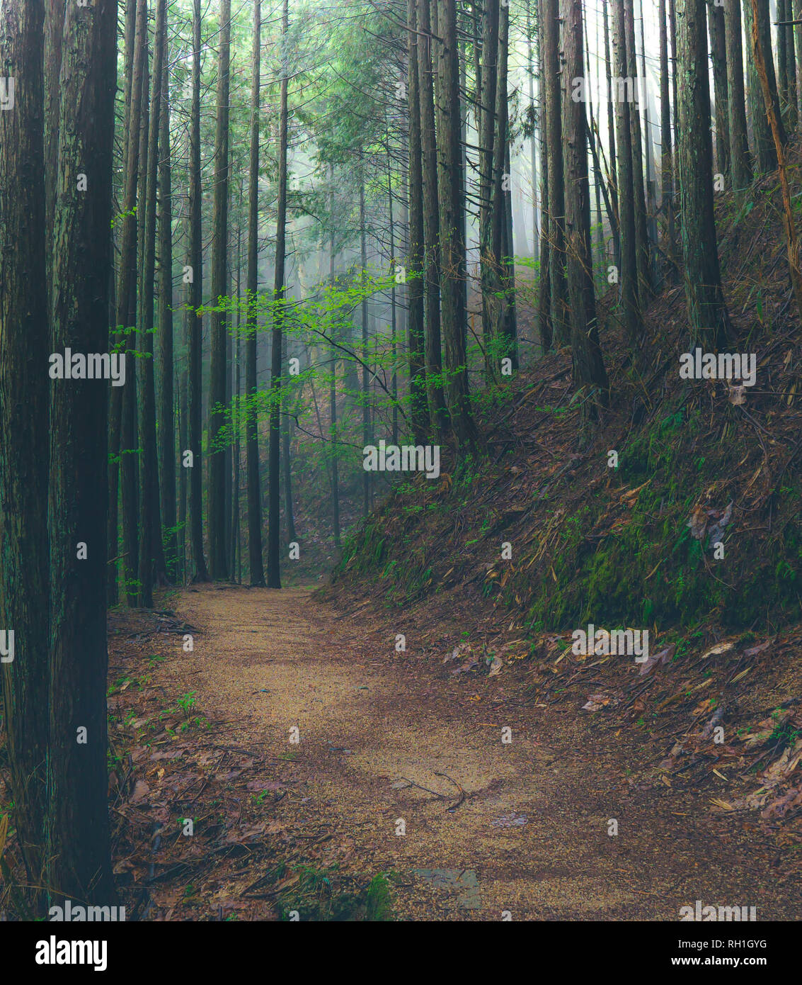 Nihong hi-res stock photography and images - Alamy